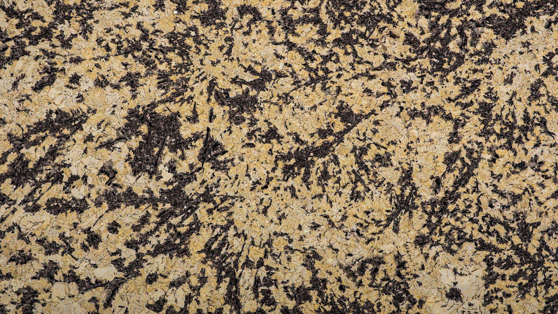 Alluring Splendor Gold Granite Slabs | MCI Bangalore