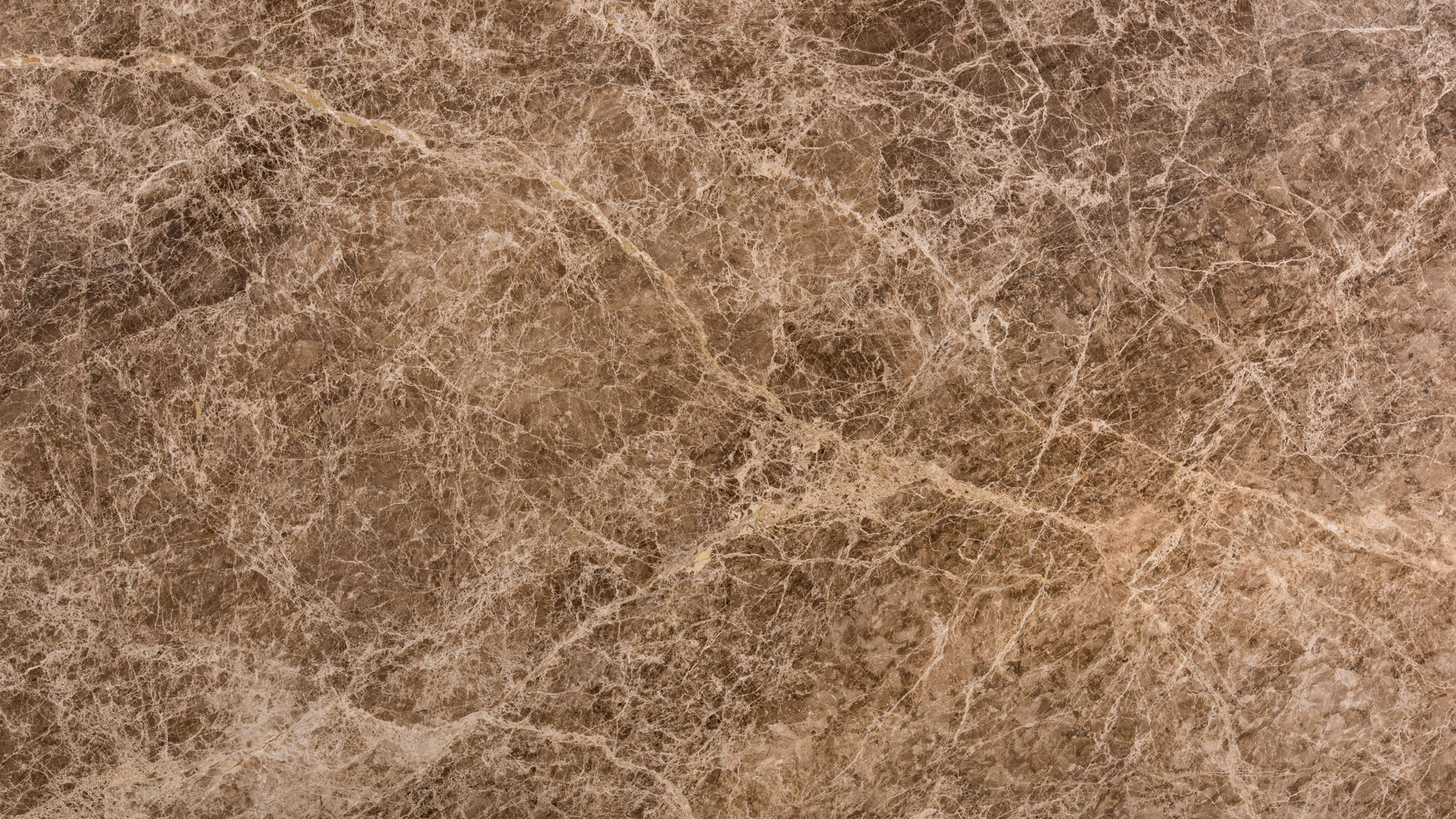 Elegant Beige Marble Slabs | Spider Beige | MCI Bangalore